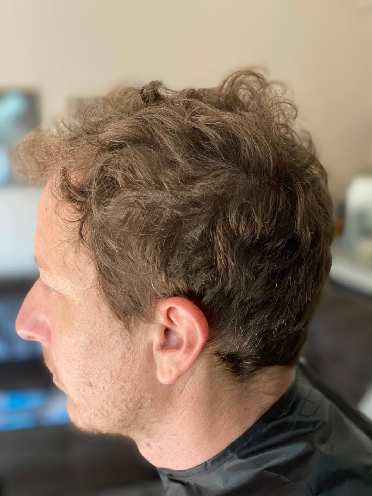 Every 6 Weeks | Serenade Wind