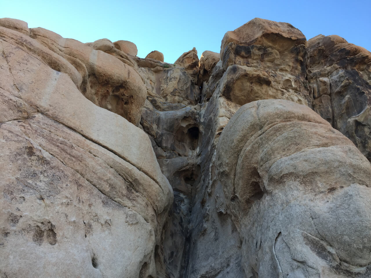 Throw back | Serenade Wind