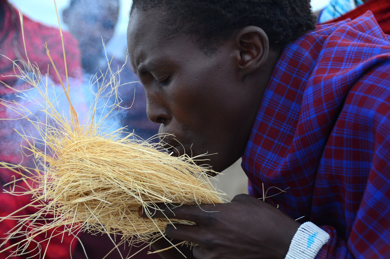 Shutterbug | Serenade Wind